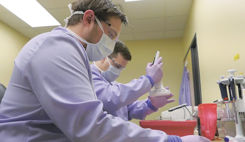 Avera lab approved for COVID-19 testing | News, Sports, Jobs - Marshall ...